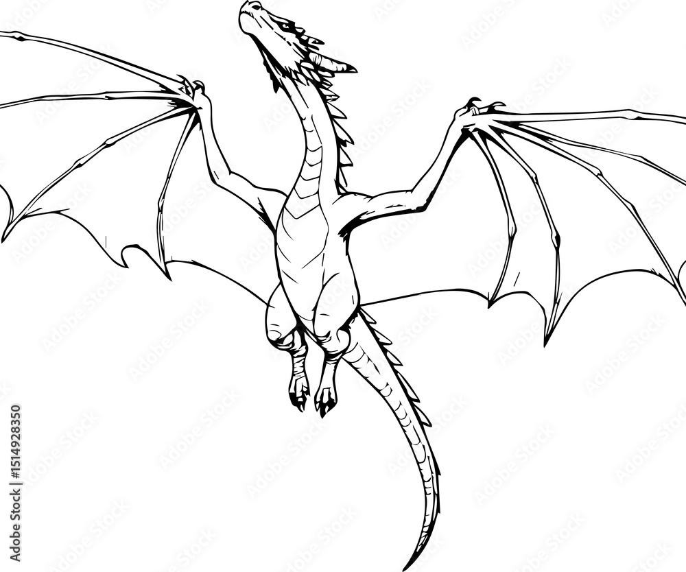 Detailed ink sketch of a dragon, wings folded neatly, seated and ...