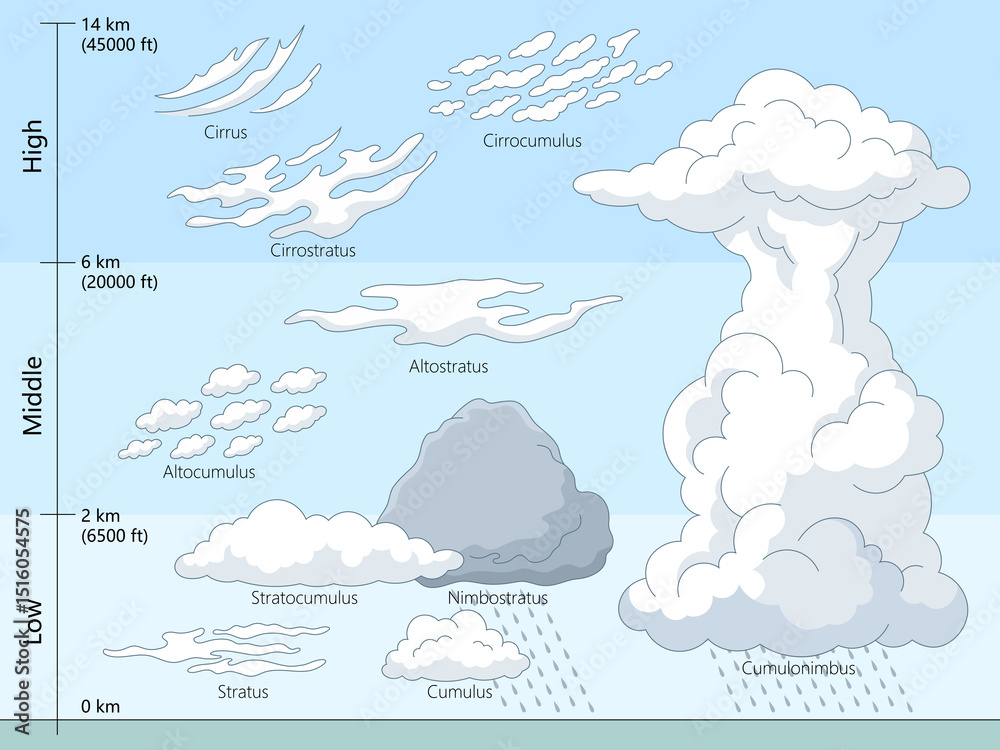 Educational diagram showing different cloud types categorized by low ...