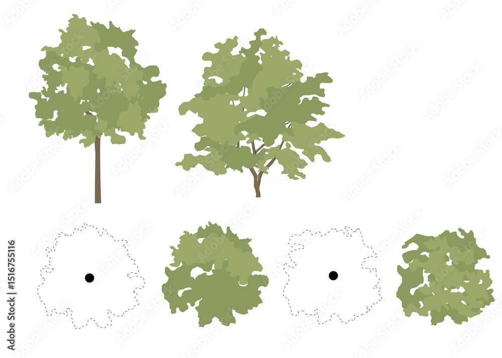 Trees in elevation and plan view for use in architectural drawings ...
