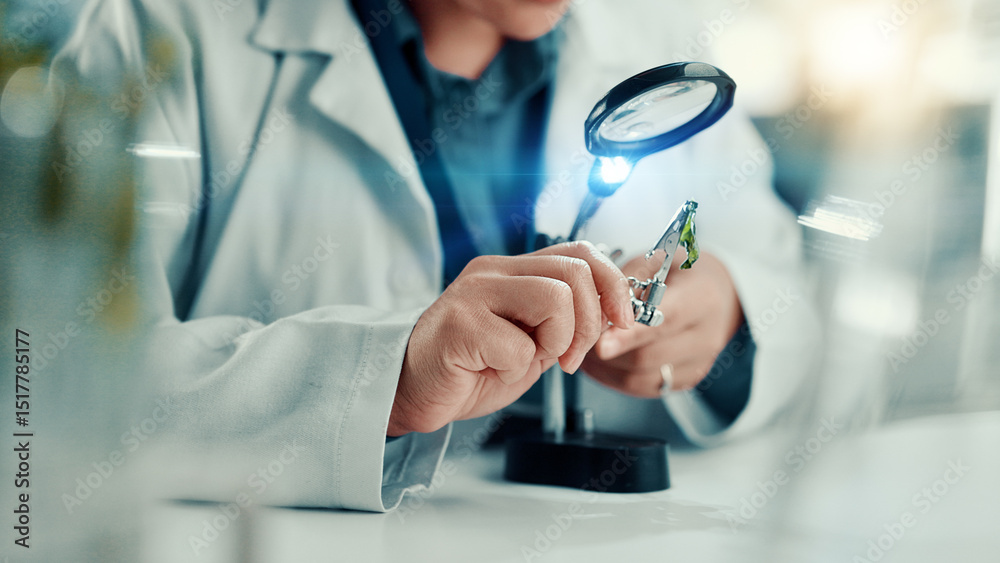 Stock-Foto „Magnifying glass, plant and science with hands of person ...