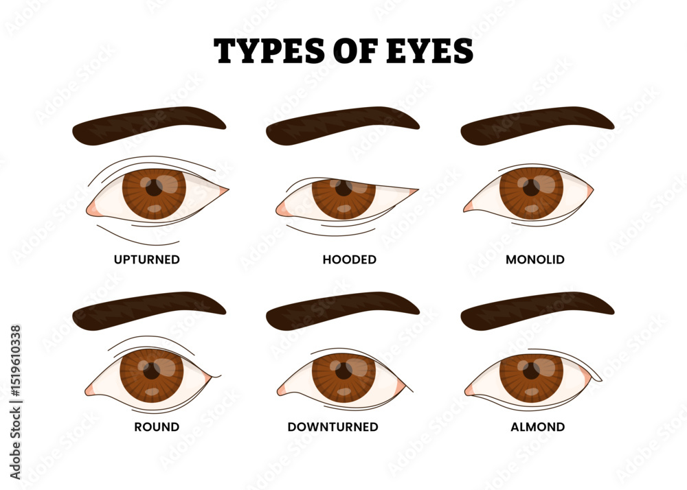 Different Types of Eye Shapes, Educational Medical Poster Design ...