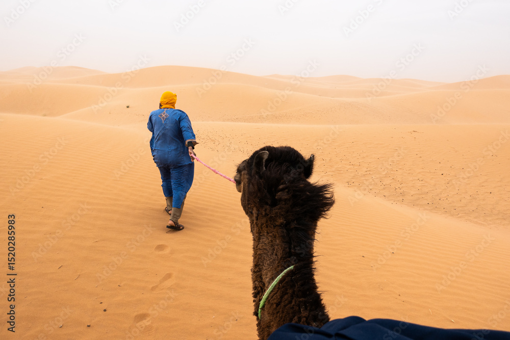 Fotografía de viaje en Marruecos que captura la riqueza cultural y ...