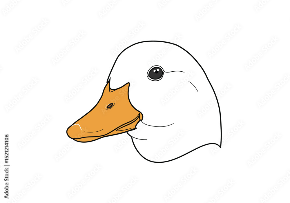 Duck head drawing. It is a detailed black and white outline image of a ...