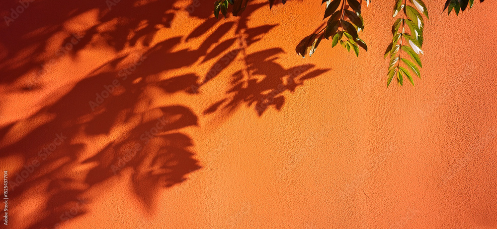 Shadow of leaves on the wall - detailed shadows in late light on a ...