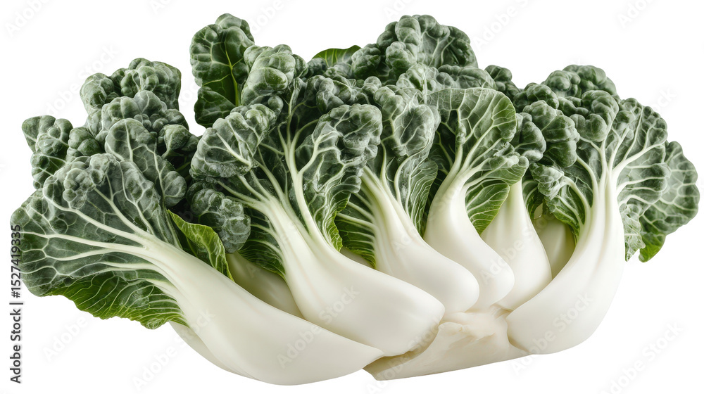 Bok choy with white crunchy base and green leafy top, compact bundle ...