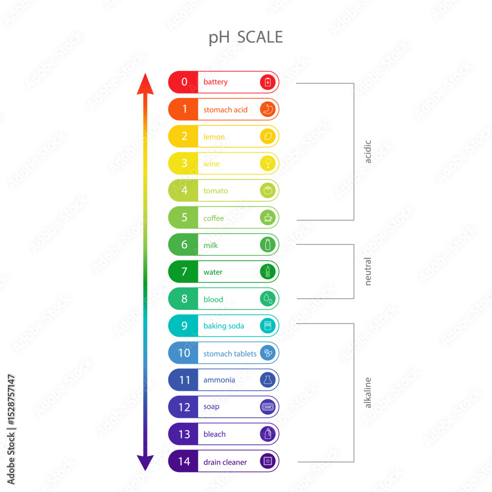 PH Scale chart. Indicator of indications, measurements and table of ...