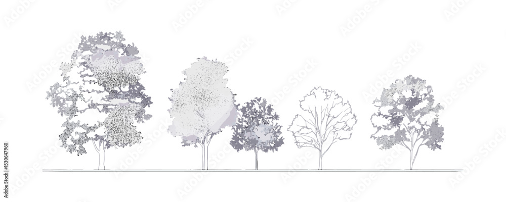 Cad tree elevation line, outline graphics set, minimal tropical tree ...