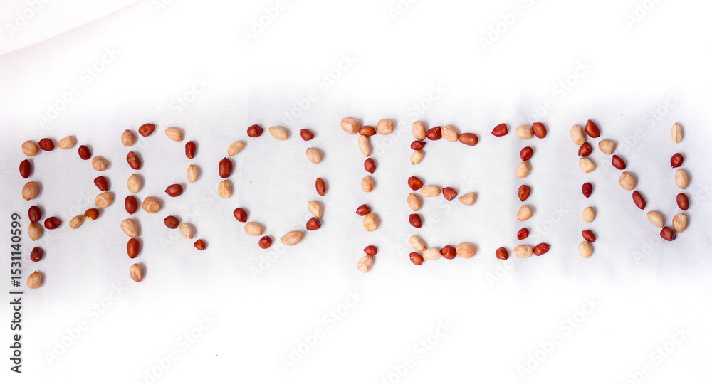 Word Protein written using letters made of peanuts framed on isolated ...