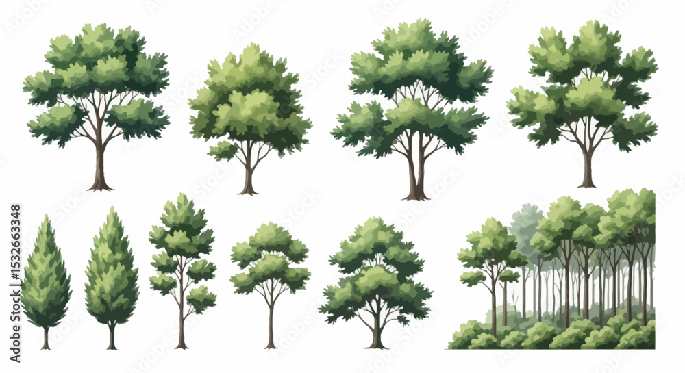 Collection of Illustrated Trees Various Species and Styles for Design ...