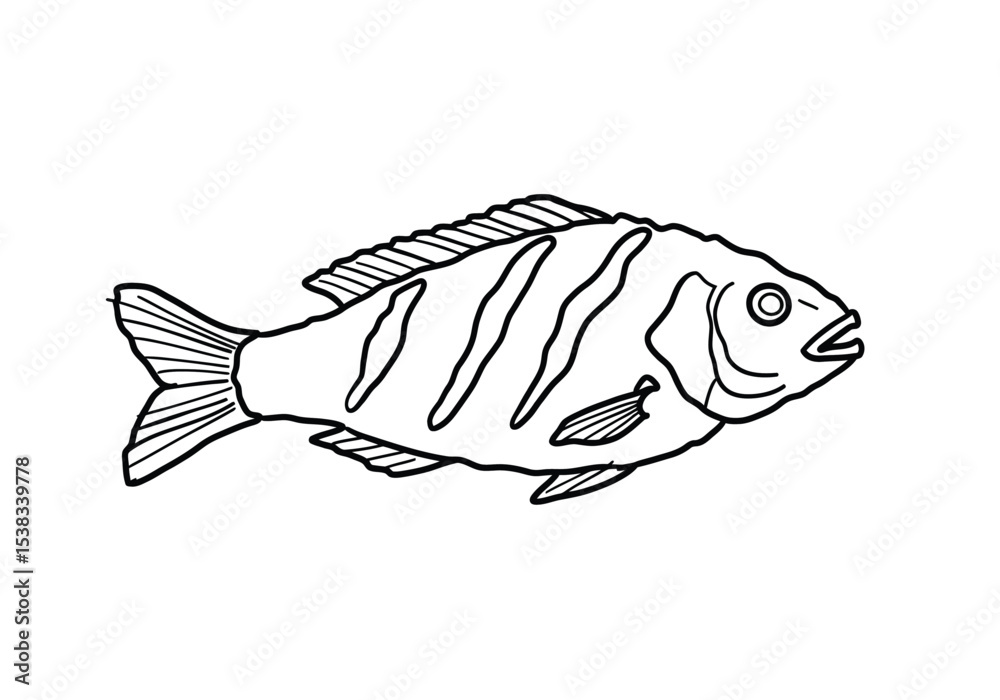 Fried fish drawing. It is a black and white outline image of a whole ...