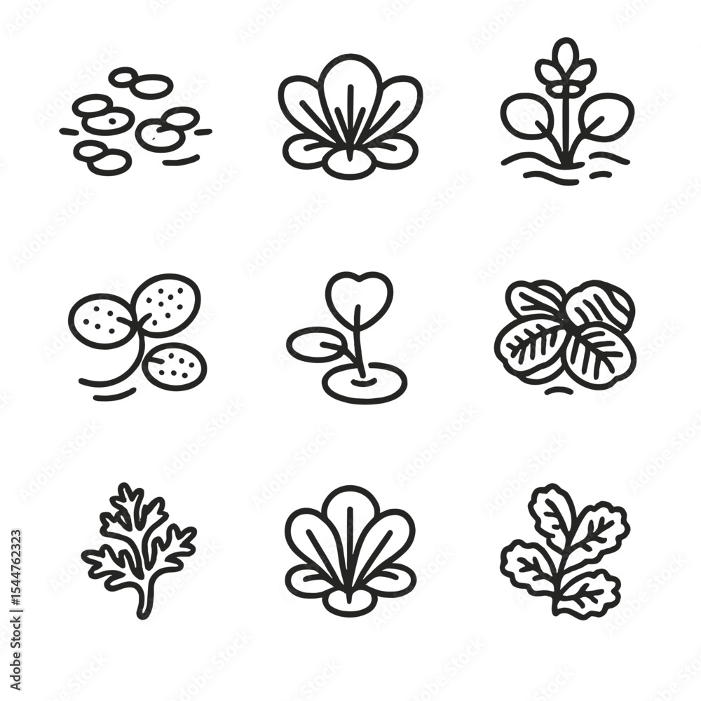 Aquatic Plant Icons. Outline icon set of floating aquatic plants ...