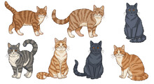 7 Cats In Various Colours Free Stock Photo - Public Domain Pictures
