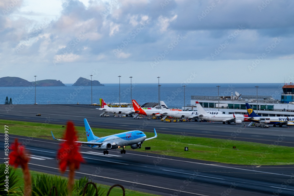 TUI Boeing 737 MAX International Madeira Funchal Airport, aircraft ...