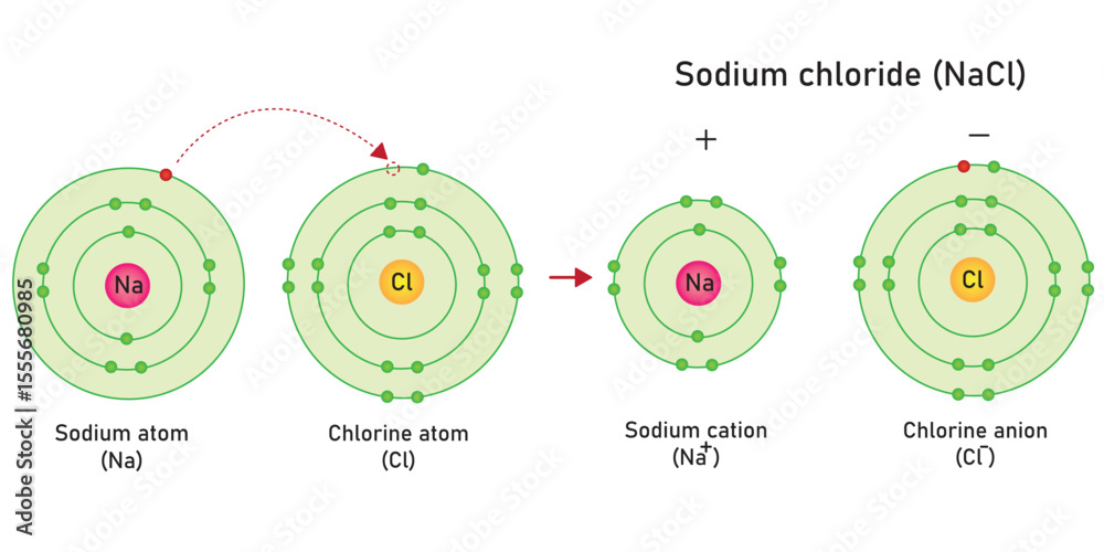 Vettoriale stock di The molecule structure of ionic bonding of sodium ...