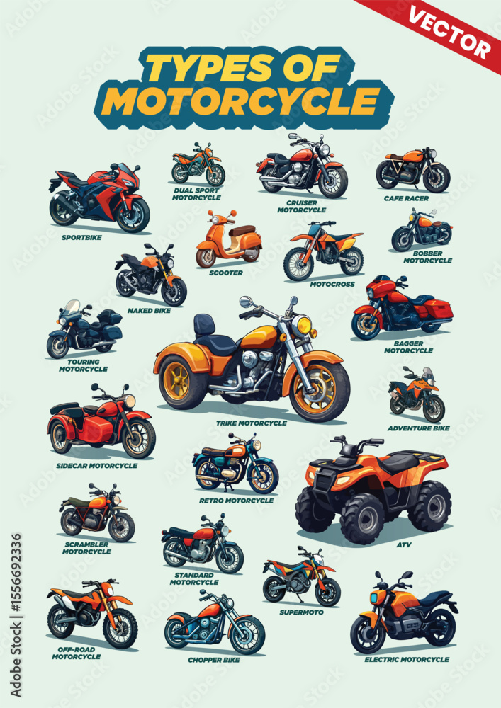 Types of Motorcycles Illustrated Vector Chart – Educational Infographic ...