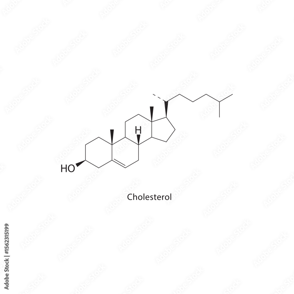 Cholesterol skeletal structure. Steroid compound schematic illustration ...
