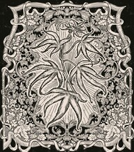 Vintage Botanical Frame Free Stock Photo - Public Domain Pictures