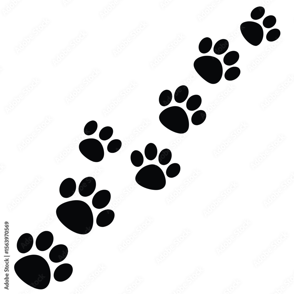 Animal Track Pattern Paw Prints Leading the Way A Trail of Paw Prints ...