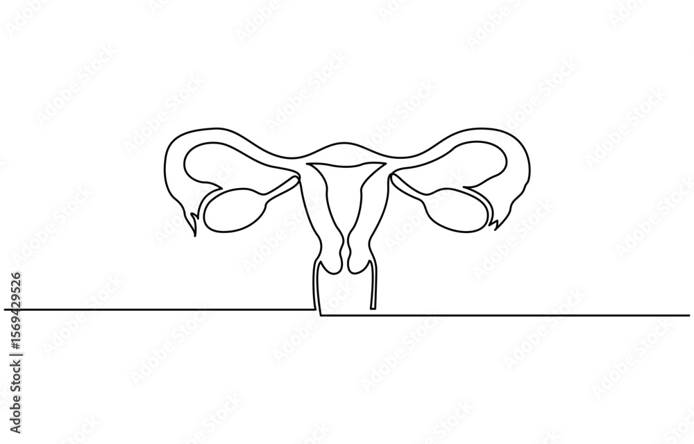 Continuous line drawing of women's Uterus and Ovary. One line Female ...