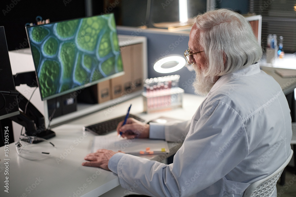 Senior Caucasian man with long grey hair and beard working at ...