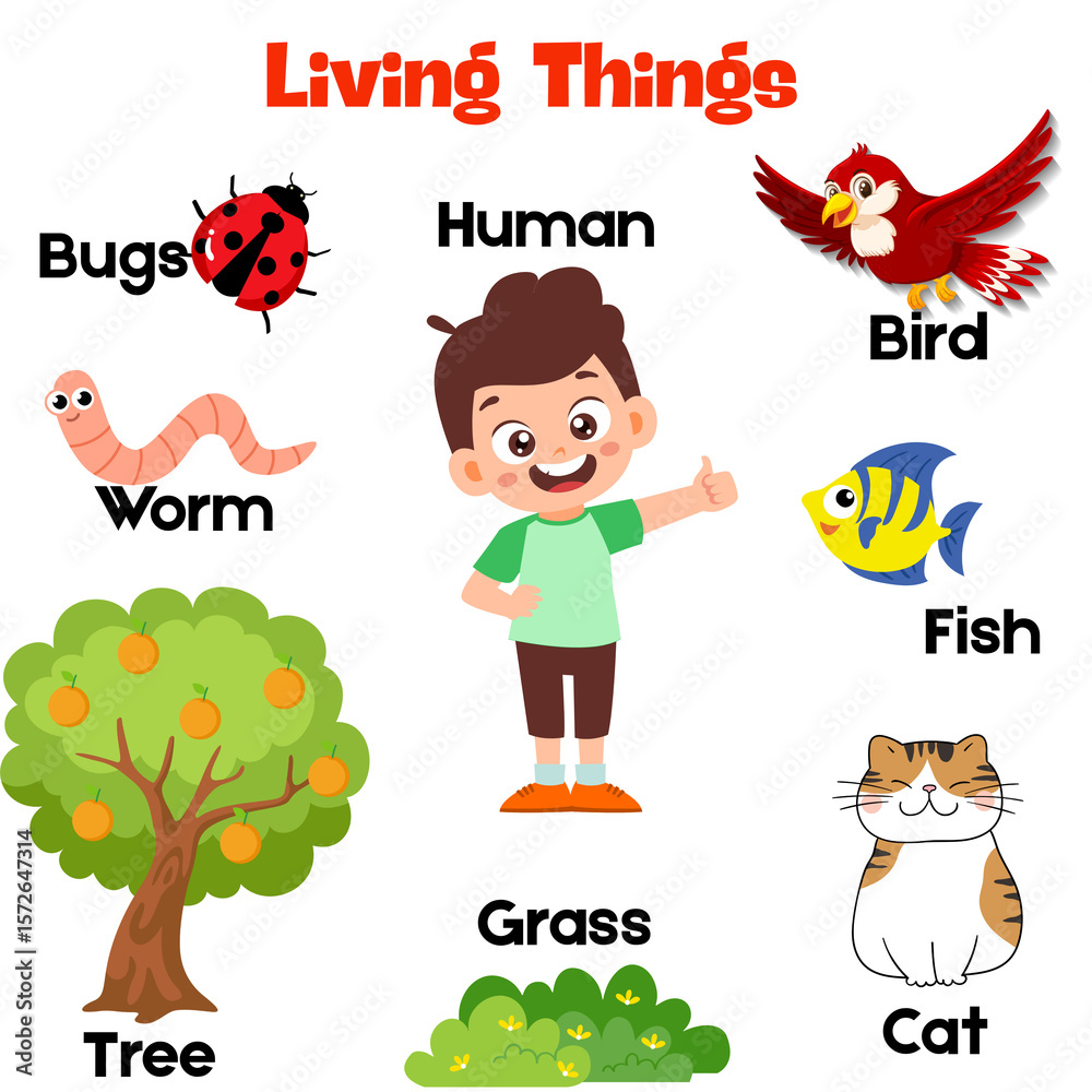Discover the Amazing World of Living Things Bugs, Humans, Birds, Fish ...