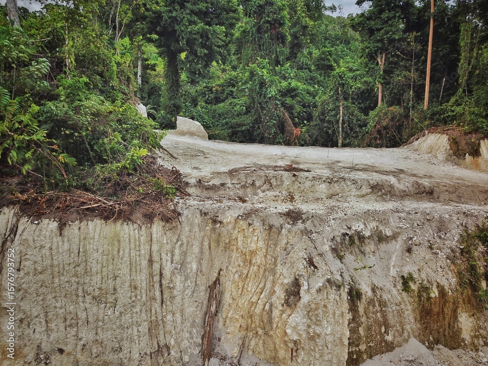 Deforestation caused by a new road being built through pristine ...
