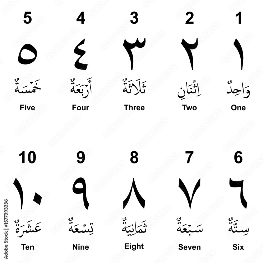 Numbers in Arabic and English Language Vector Chart for Early Childhood ...