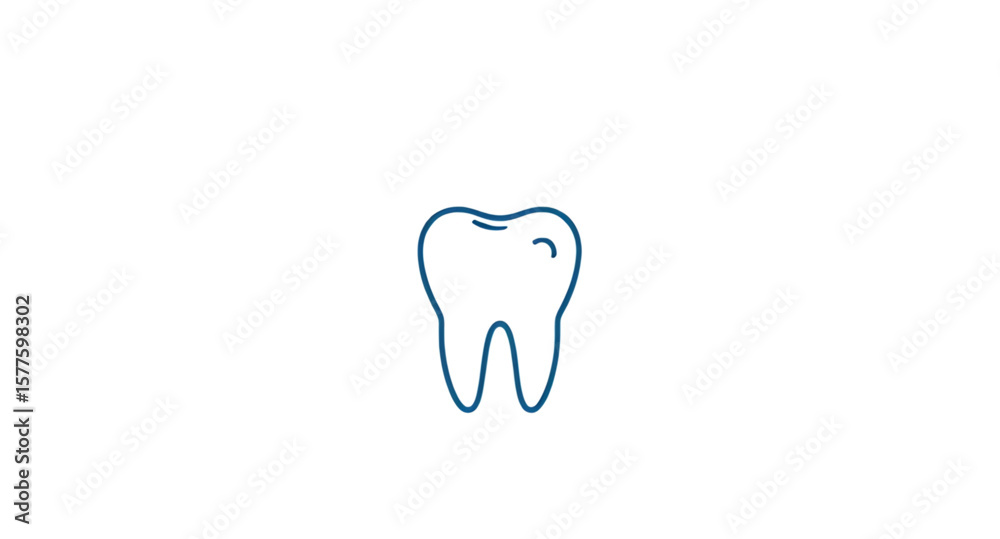 Tooth anatomy, Realistic tooth design, Clean tooth image, Dental care ...