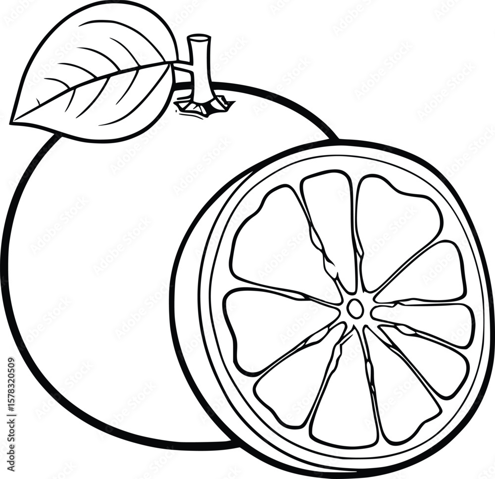Grapefruit Coloring Page For Kids Stock Vector | Adobe Stock