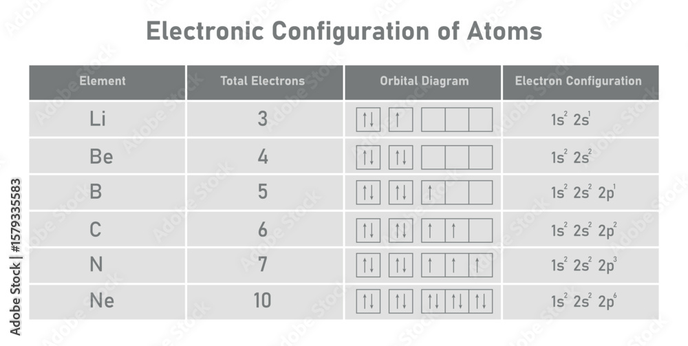 Electron Configuration of Atoms. Elements, Total Electrons, Orbital ...