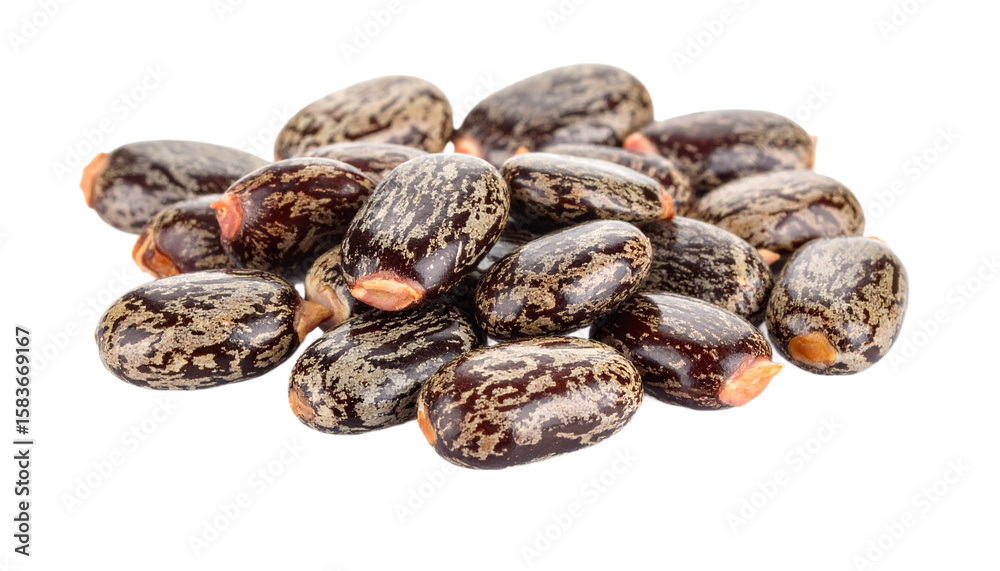A pile of mottled brown castor beans are beautifully displayed against ...