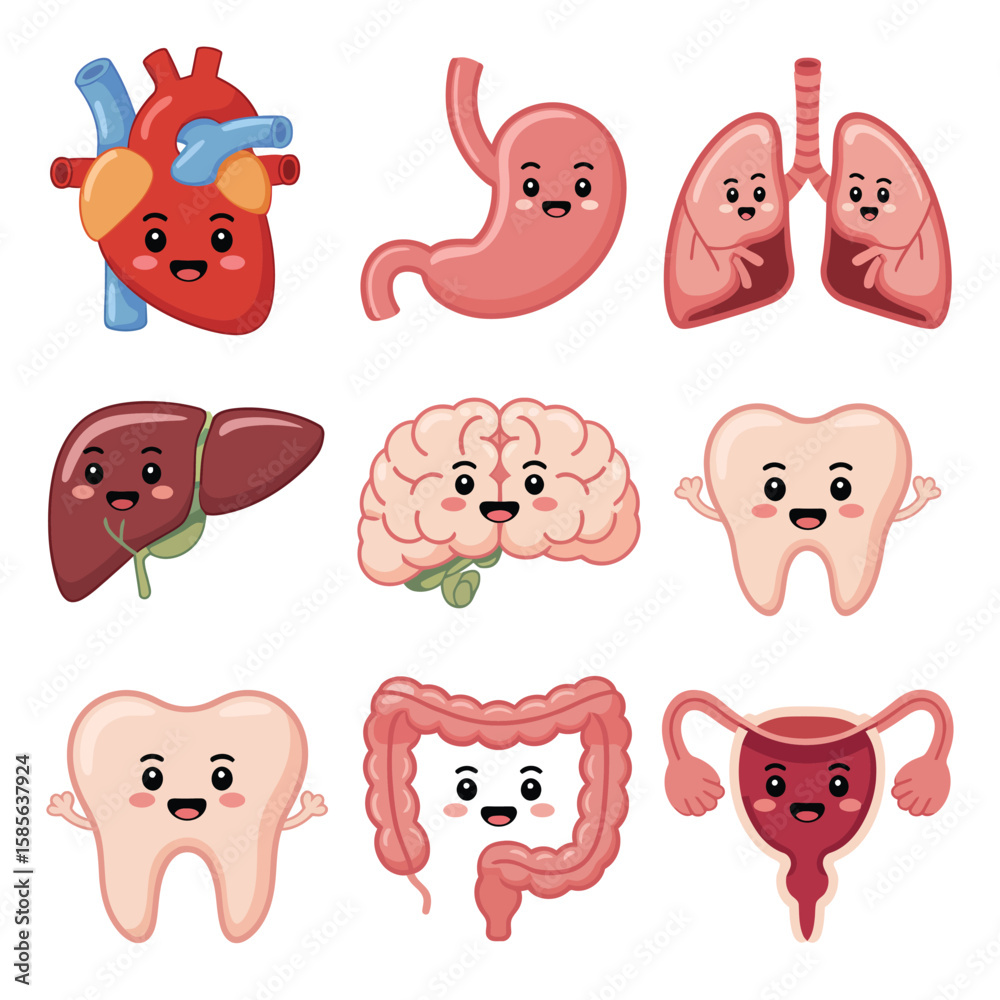 Cute cartoon human organs including heart lungs stomach brain liver ...