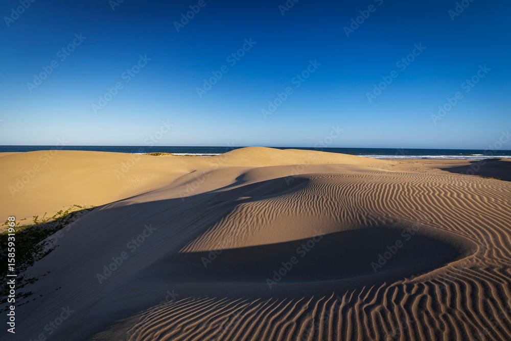 Expansive Sundays River Dune Field (Alexandria Coastal Dune Field) at ...
