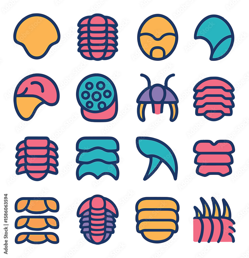 trilobite anatomy modern flat style.cephalon,thorax,pygidium,glabella ...