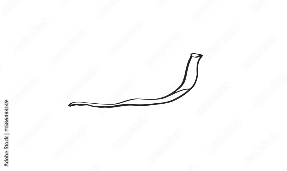 shofar rosh hashanah torah symbol sign religion judaism holiday ...