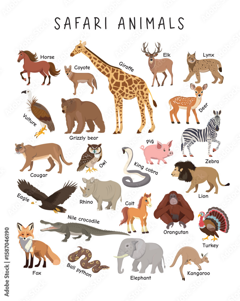 Safari Animals Educational Poster – Learn Wild Animal Names for Kids ...