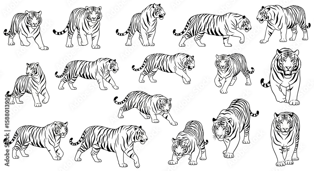 Various tiger illustrations in different poses and angles Stock Vector ...