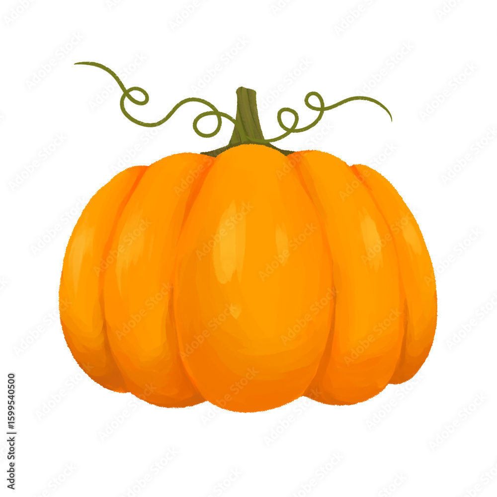 pumpkin squash halloween fall autumn vegetable october plant ...