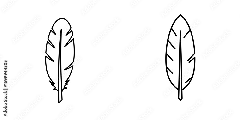 turkey feather drawling