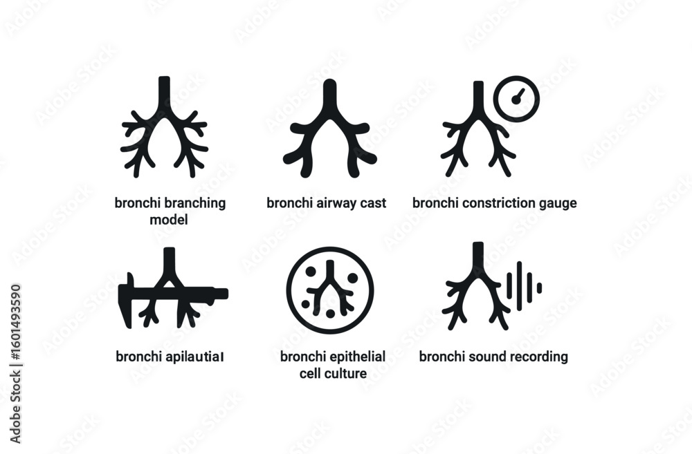 solid icon isolated bronchi bronchi branching model bronchi airway cast ...