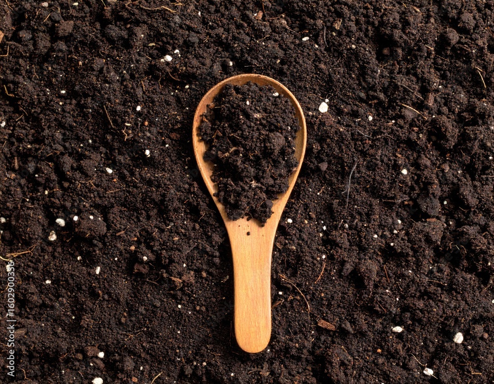 Top View of Dark Soil with Wooden Spoon Gardening and Agriculture ...