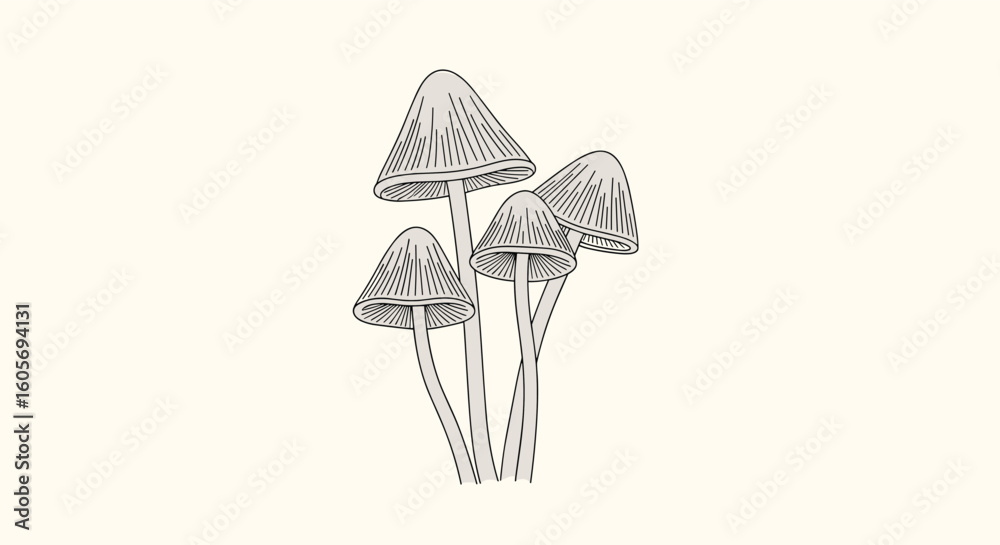Illustrative design of psilocybin mushroom caps and stems with ...