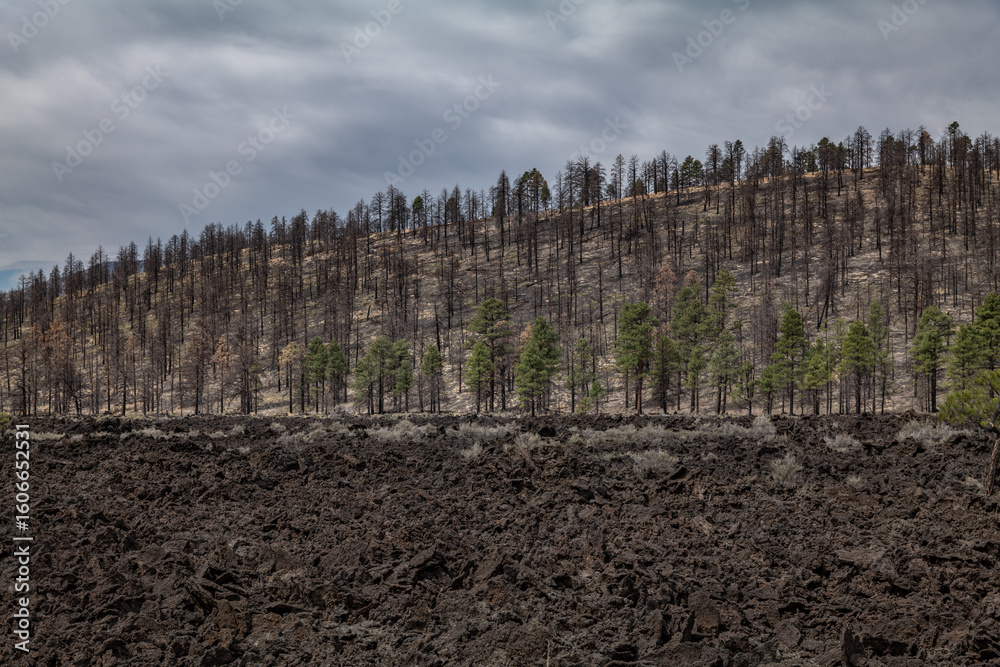 Lenox Crater is a cinder cone located in the San Francisco Volcanic ...