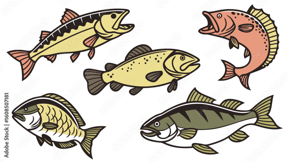 Collection of various freshwater fish illustrations. Set of different ...
