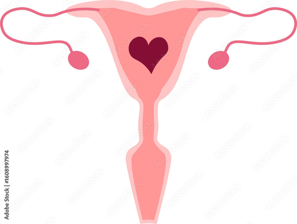 Illustration Stock Diagram of a female reproductive system ...