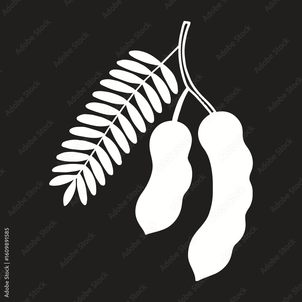 Tamarind Pod and Leaf Illustration – Tamarind Vector Art Design の Stock ...