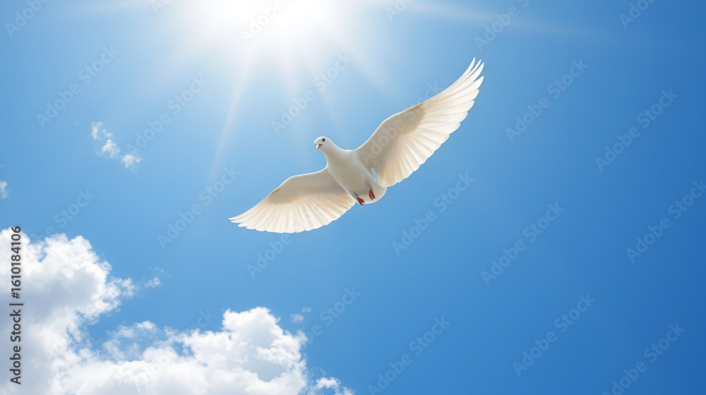 Holy spirit bird flies in blue sky, bright light shines from heaven ...