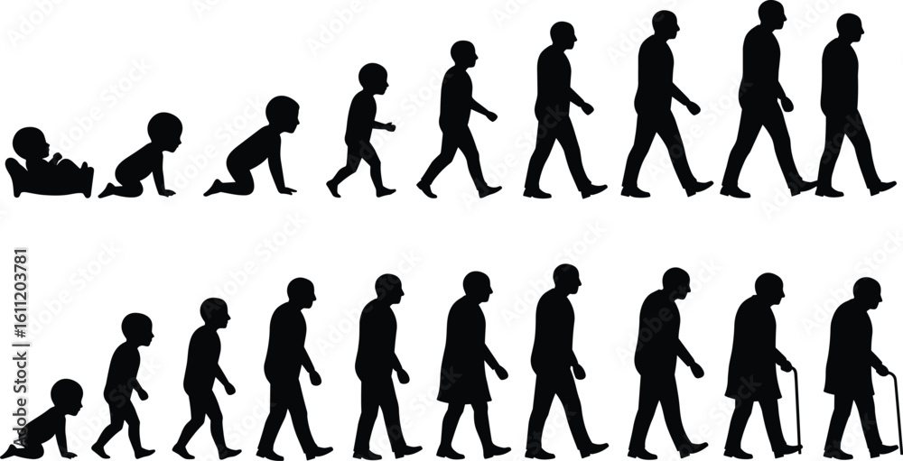 Vetor Human Life Cycle Stages, Silhouettes Depicting Growth and Aging ...