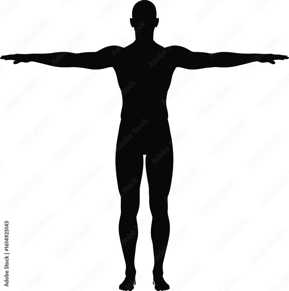 T-pose human silhouette in frontal view, symmetrical stance used in ...