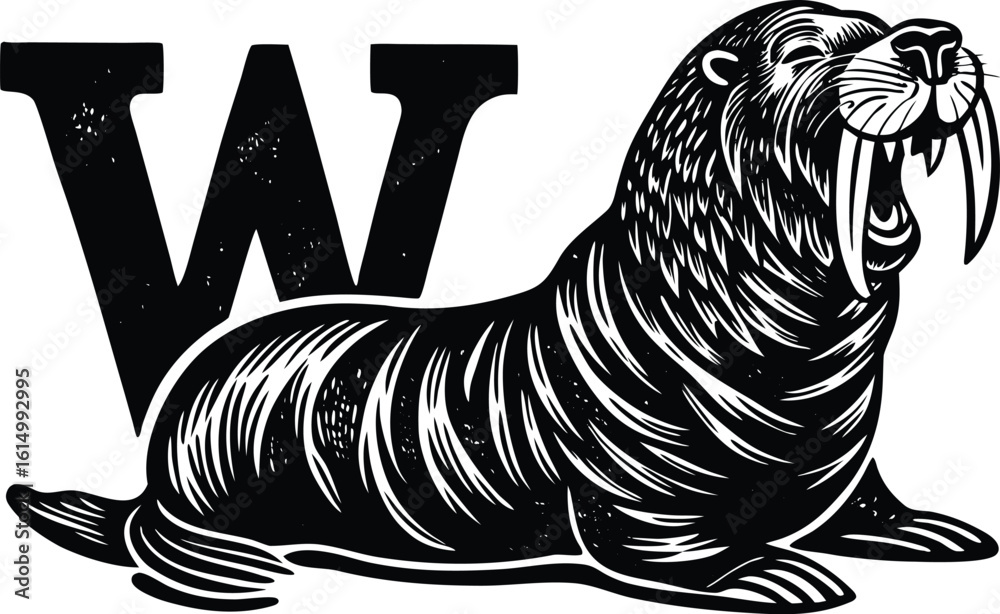 Bold Walrus and Letter W Vector Logo - Vintage Engraving Style Arctic ...